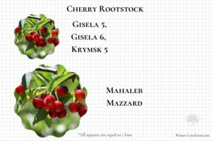 Rootstock Cheat Sheet – Winter Cove Farm